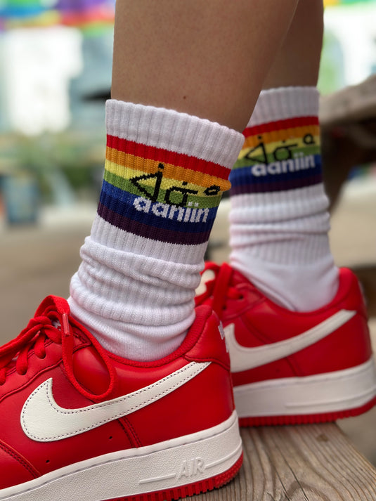 Home – ᐋᓃᓐ aaniin